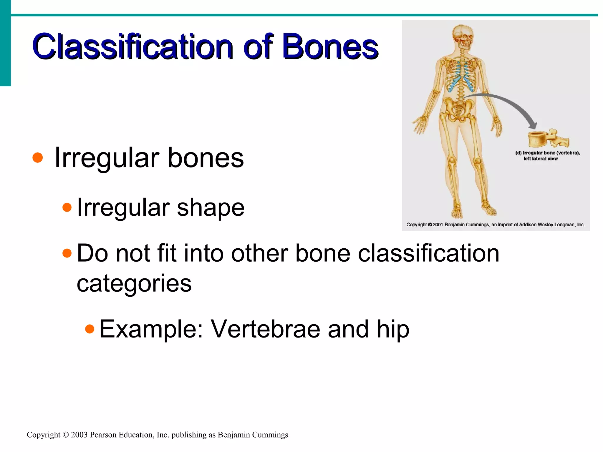 Skeletal system.pptnursing | PPT