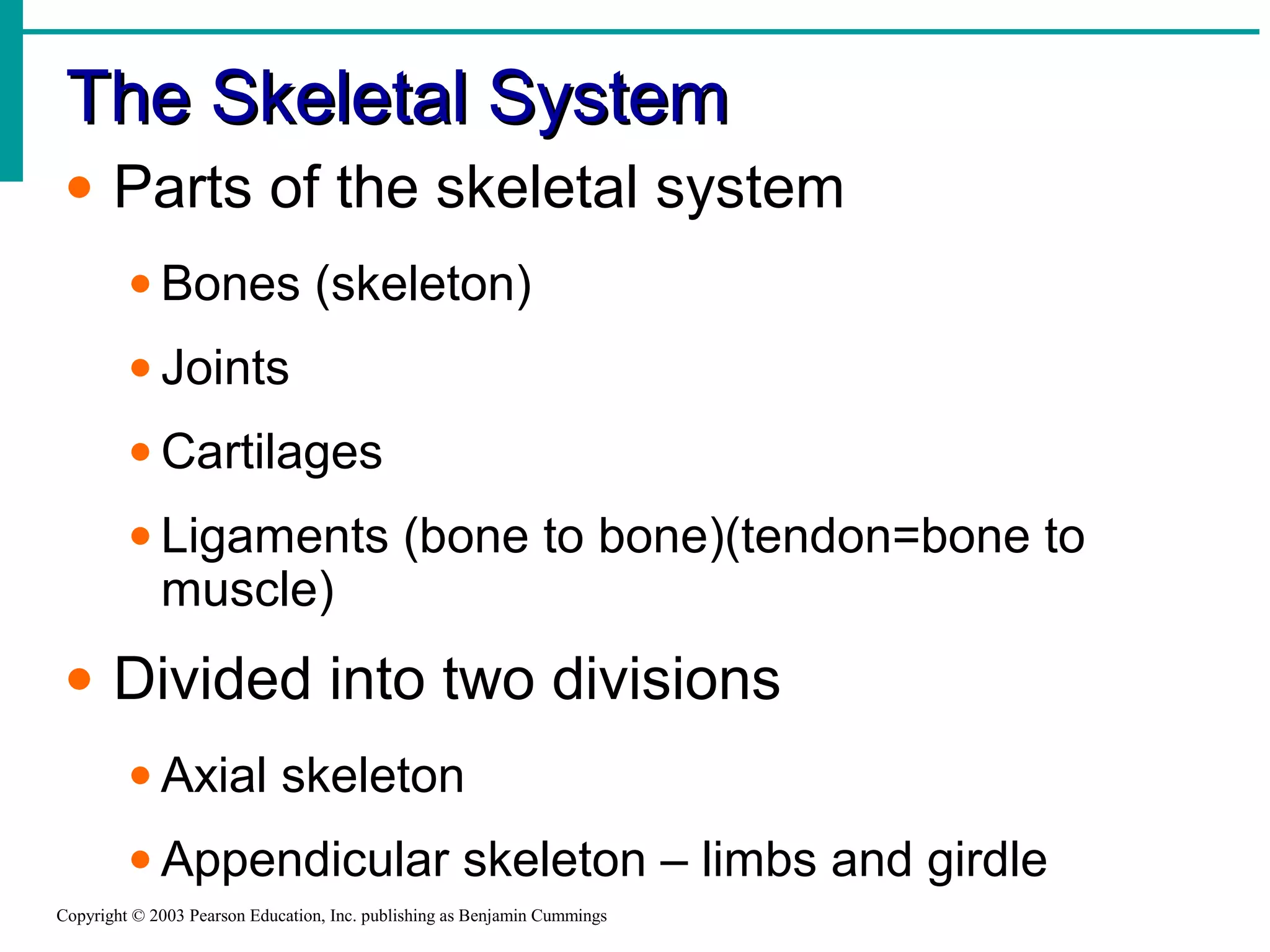 Skeletal system.pptnursing | PPT