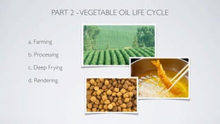 Waste Vegetable Oil Basics | ZIP