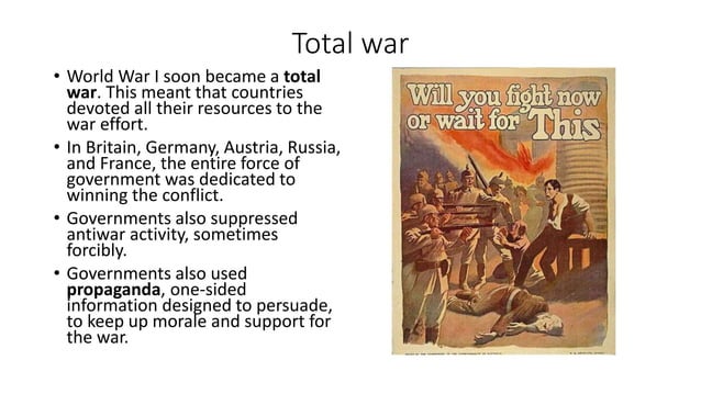 ww1 global conflict, a simple presentation on the state of affairs | PPT