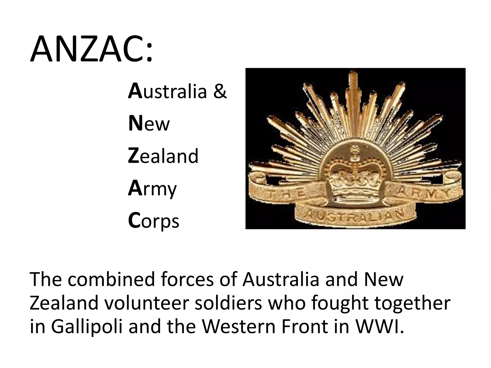 Ww1 overview why did ww1 begin | PPTX