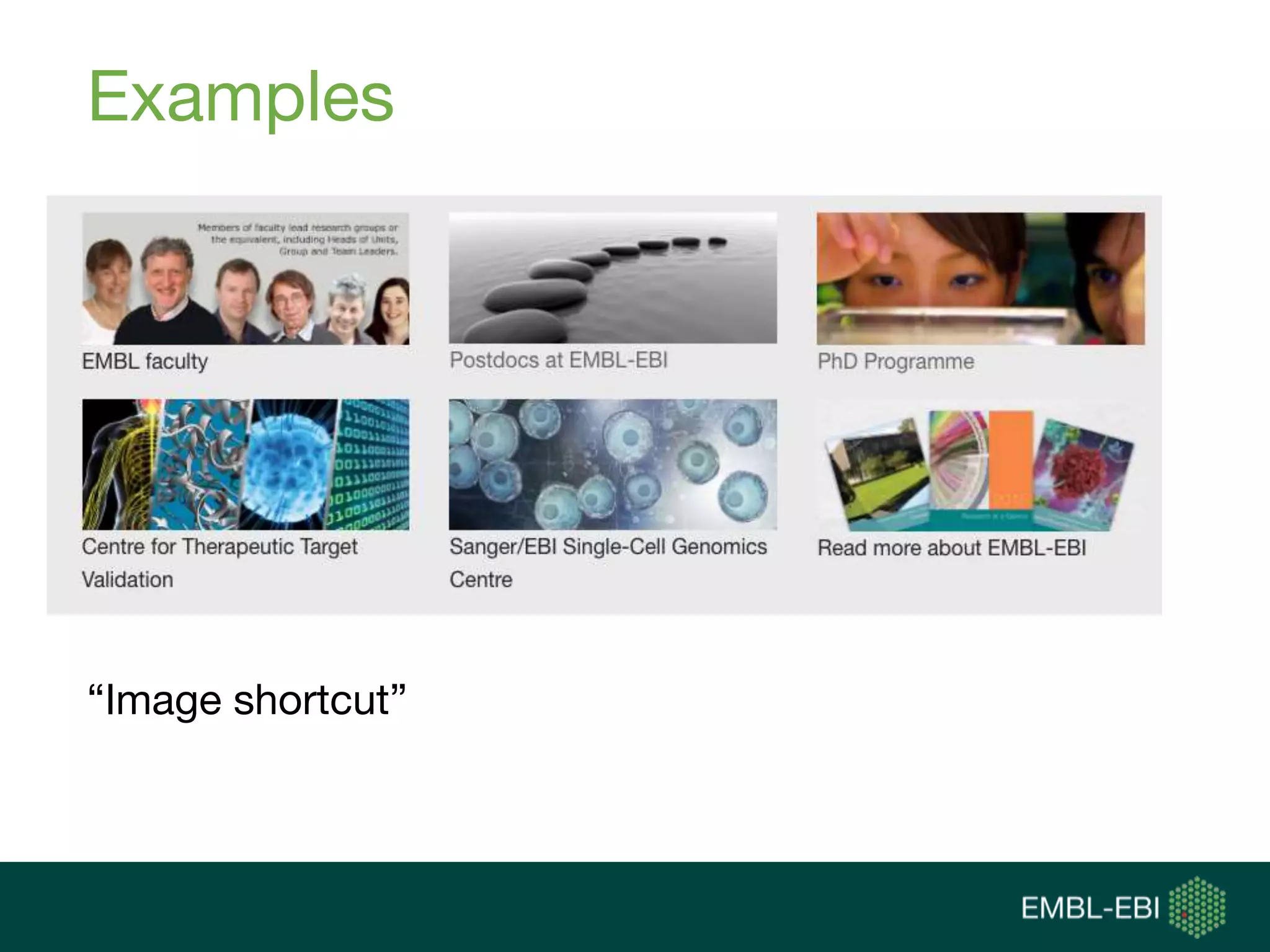 EBI Pattern libraries overview | PPT