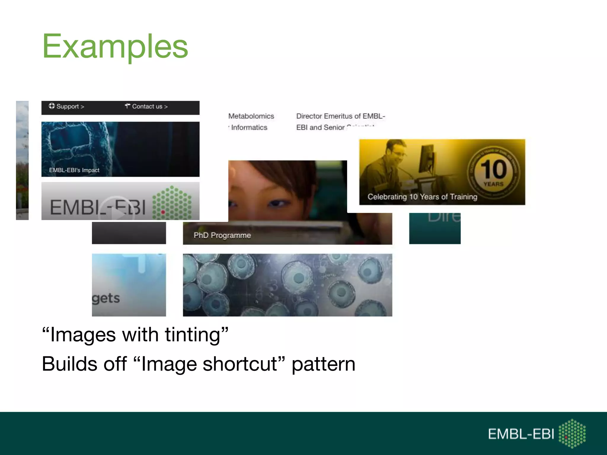 EBI Pattern libraries overview | PPT