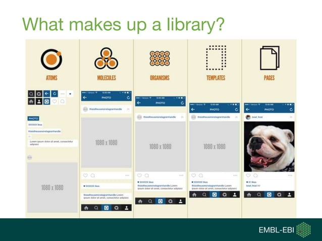 EBI Pattern libraries overview | PPT