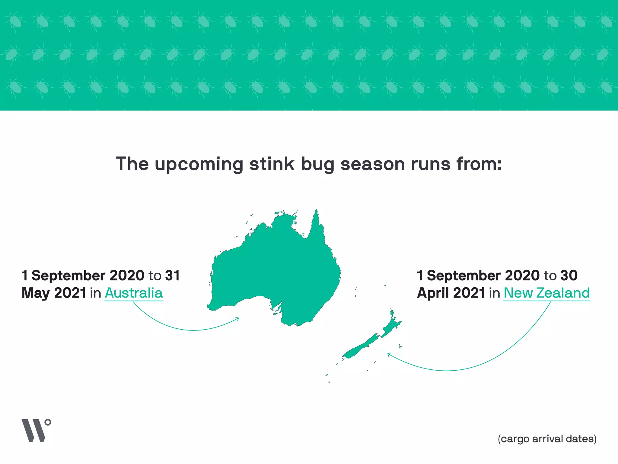 What is a Brown Marmorated Stink Bug? | PDF