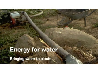 World Water Day 2014: understanding the interdependency of water and ...