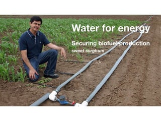 World Water Day 2014: understanding the interdependency of water and ...