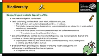 World Wetlands Day celebration 2025_English2.pptx