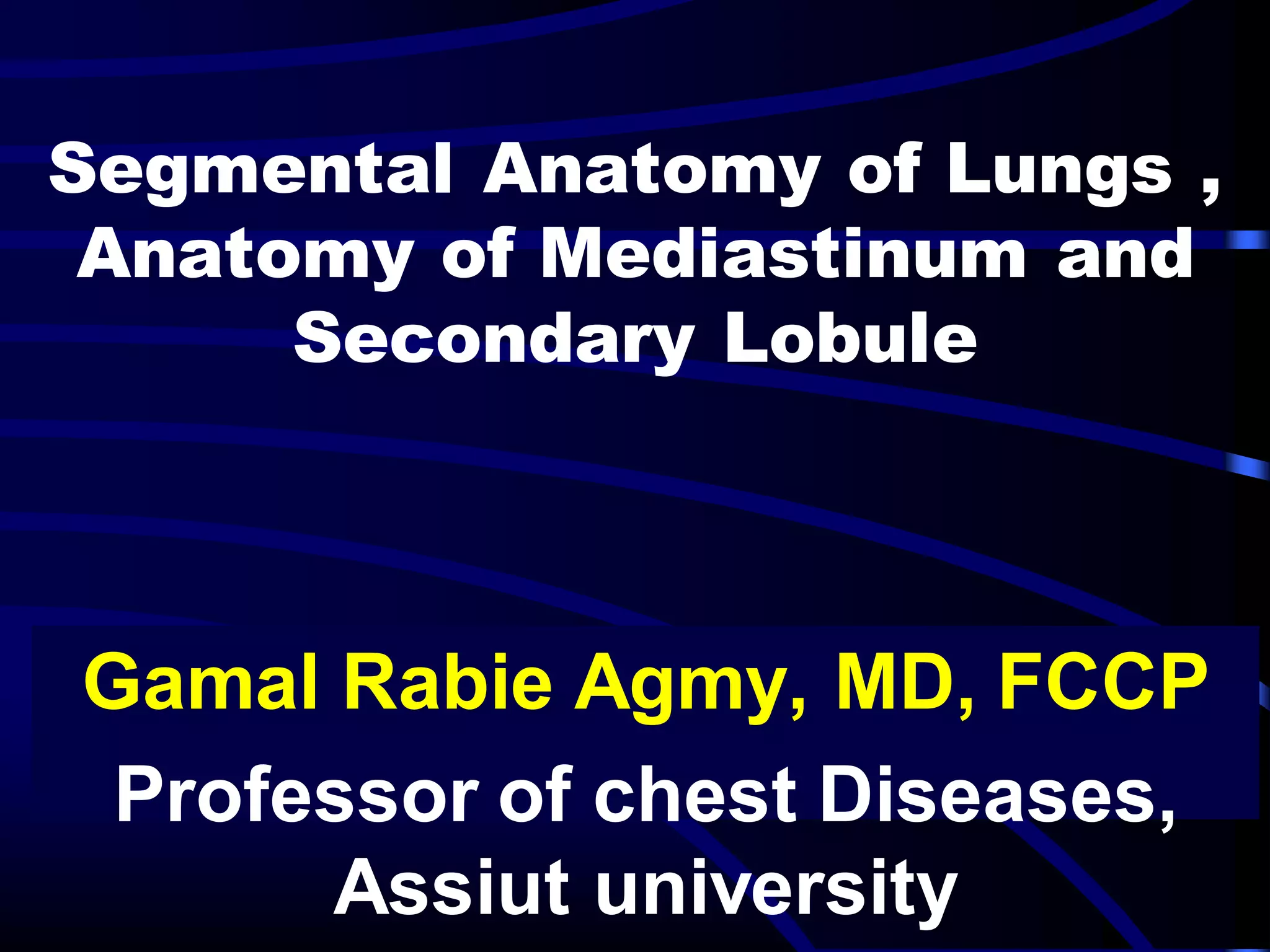 Segmental anatomy of lungs , anatomy of mediastinum and secondary ...