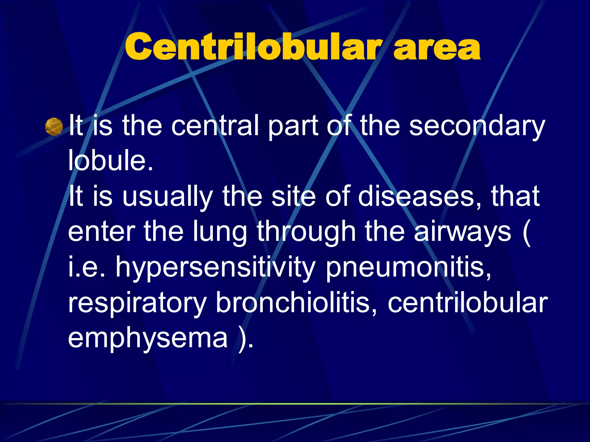 Segmental anatomy of lungs , anatomy of mediastinum and secondary ...