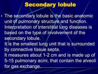Secondary Pulmonary Lobule