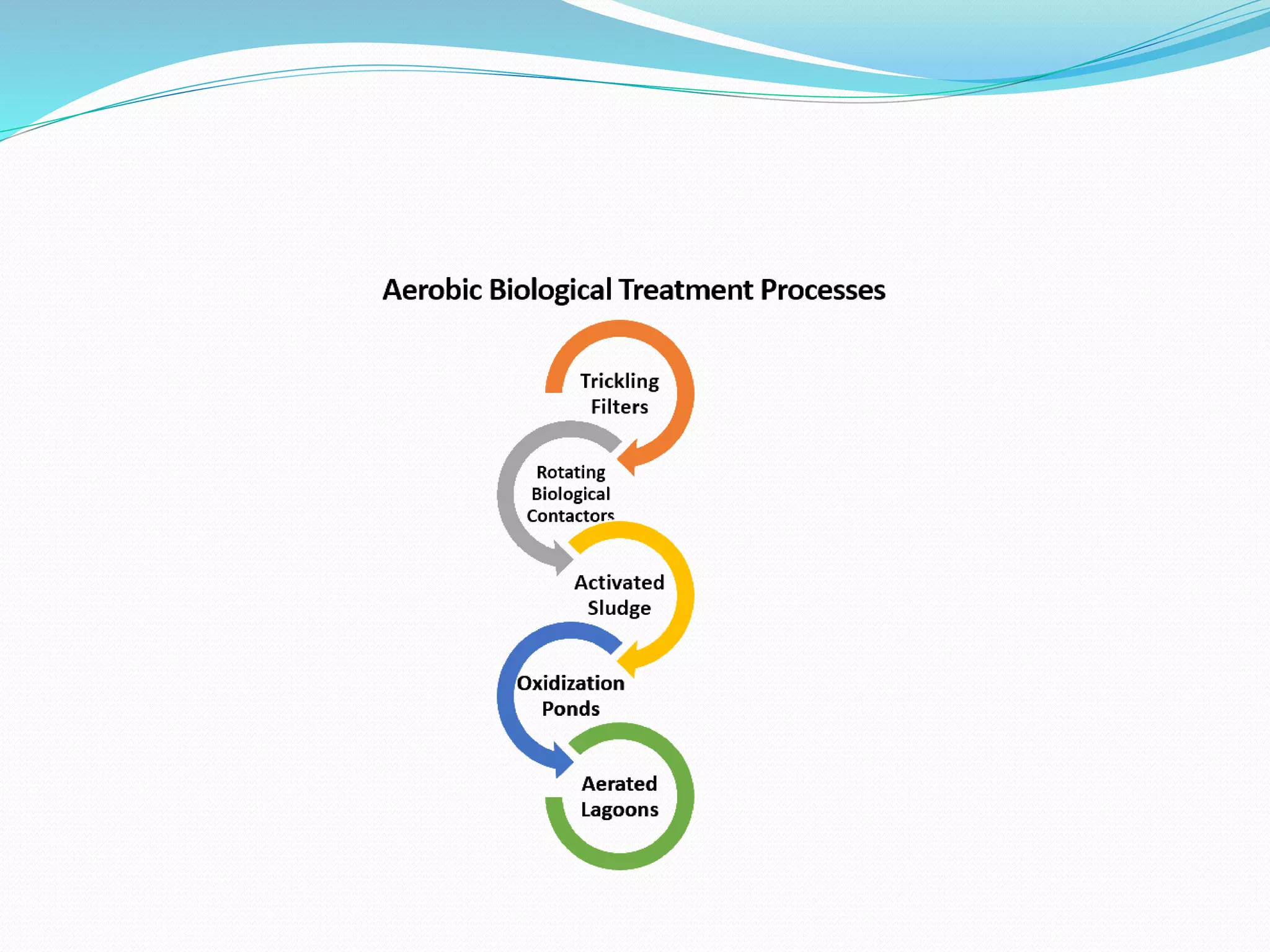Wwe Biological unit processes | PPTX | Chemistry | Science