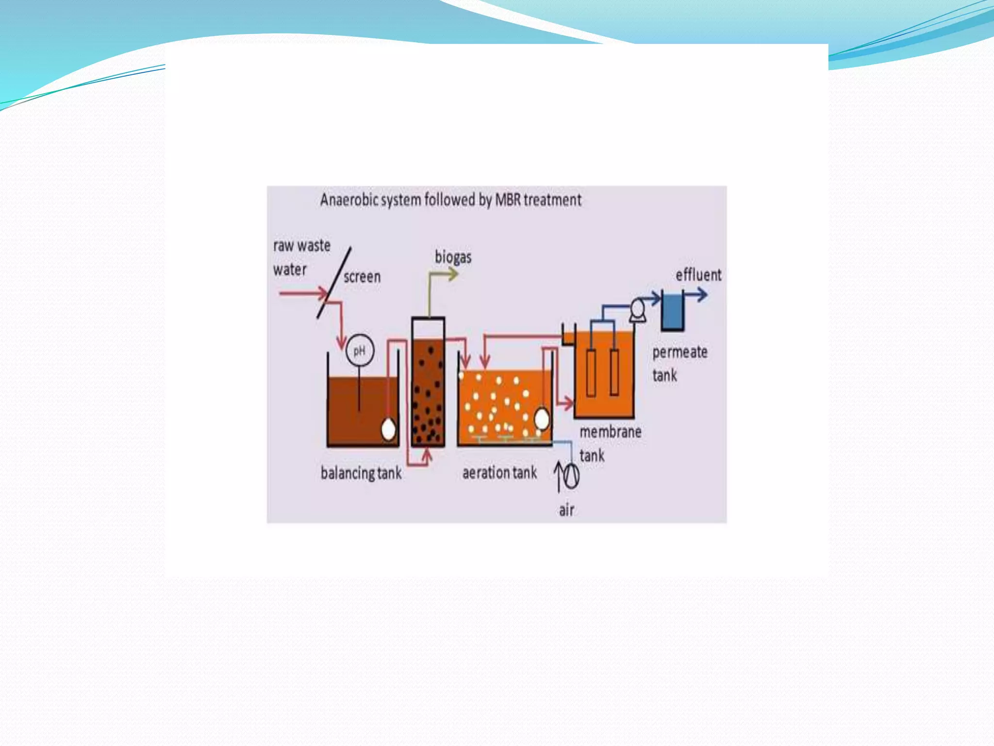 Wwe Biological unit processes | PPTX