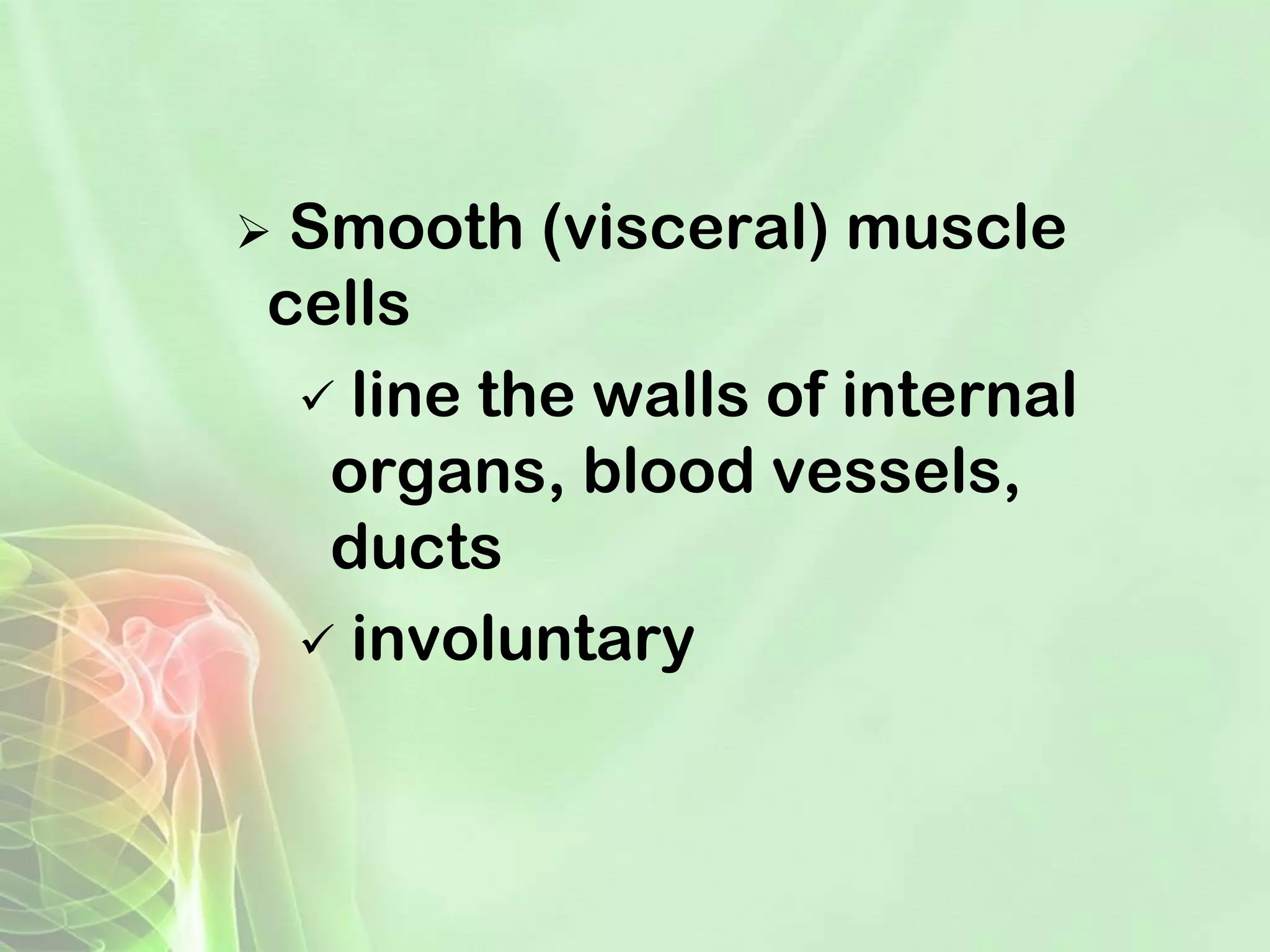 Reflection human body-powerpoint | PPT