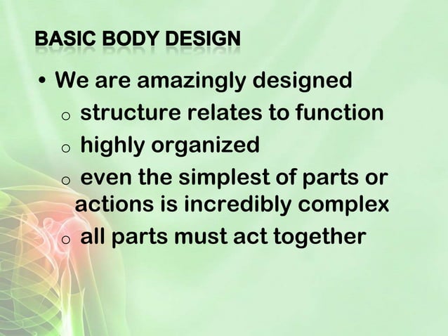 Reflection human body-powerpoint | PPT