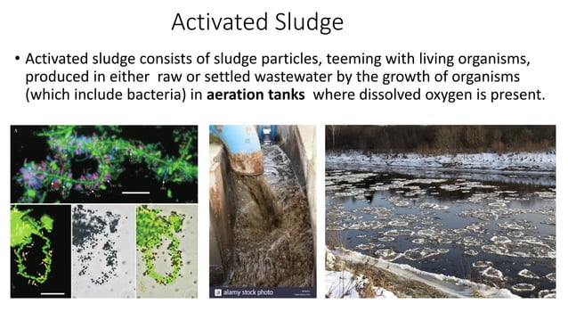 CH-2 Activated sludge treatment for wastewater | PDF | Chemistry | Science