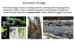 CH-2 Activated sludge treatment for wastewater | PPT