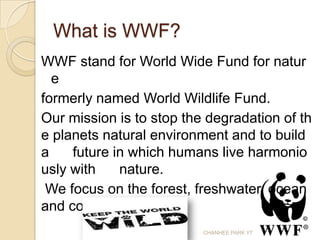 Wwf | PPT