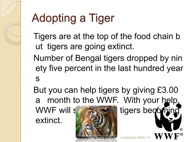 Wwf | PPT