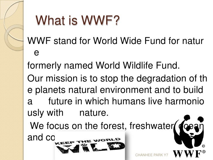 Wwf