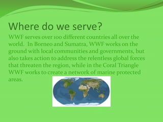 WWF | PPTX
