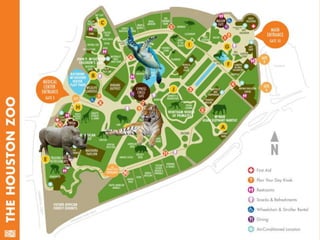 WWF GROUP PROJECT | PPT