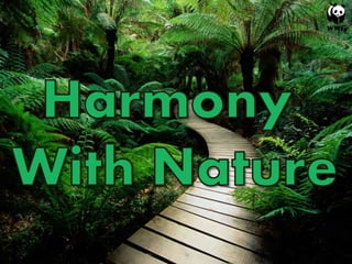 WWF GROUP PROJECT | PPTX