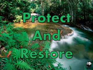 WWF GROUP PROJECT | PPTX