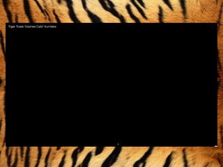 WWF GROUP PROJECT | PPTX