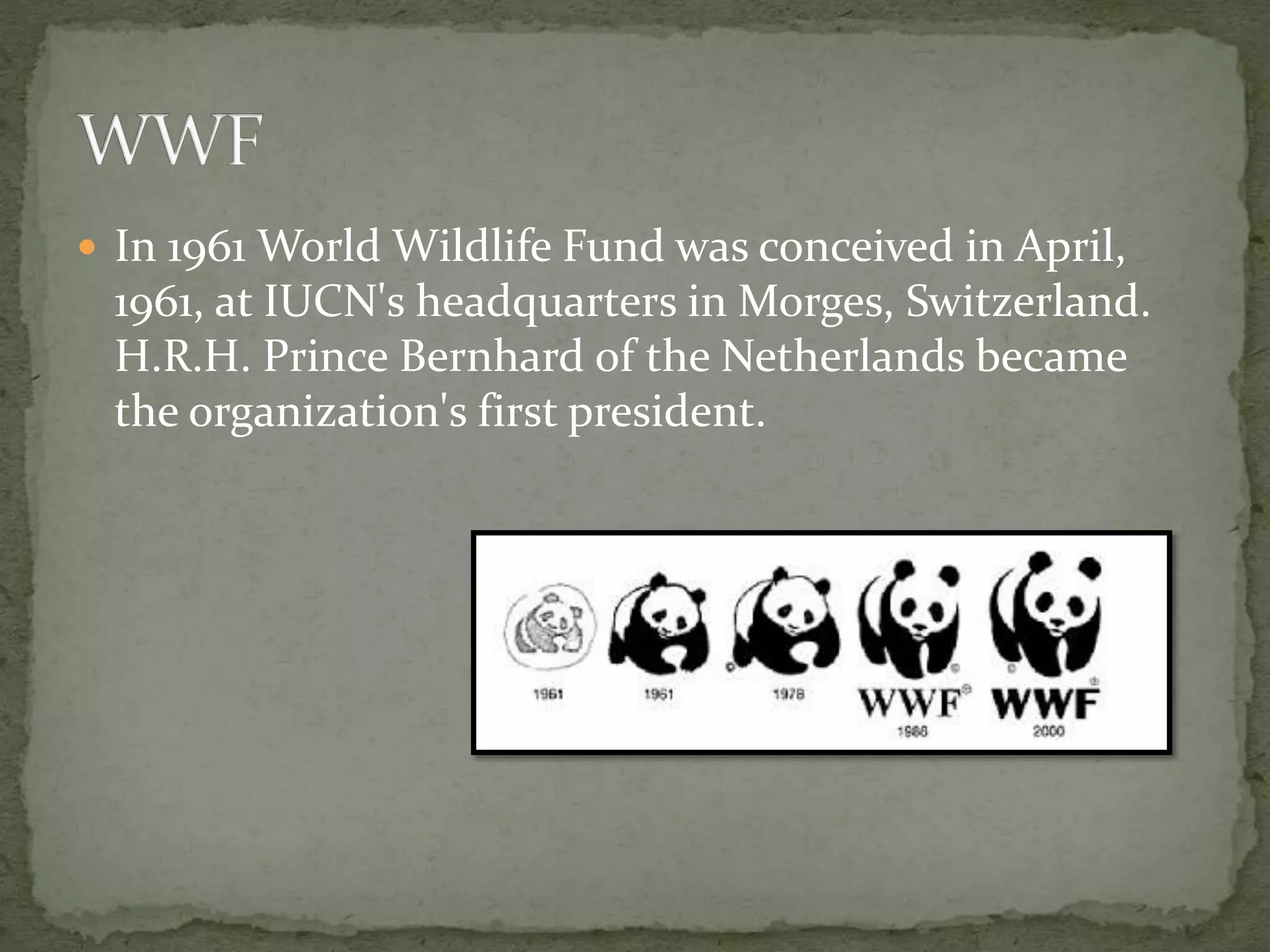 Work: WWF | PPT