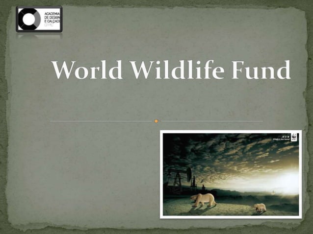 Work: WWF | PPT