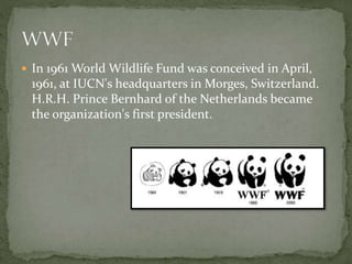 Work: WWF | PPT