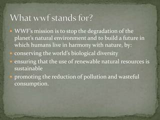 Work: WWF | PPT