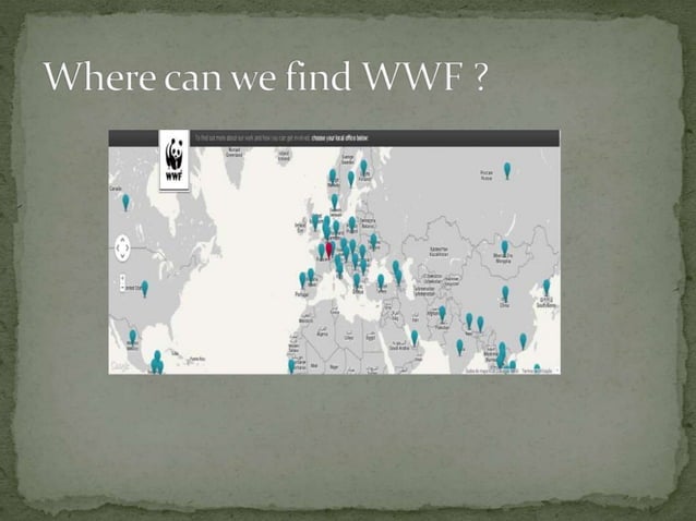 Work: WWF | PPT