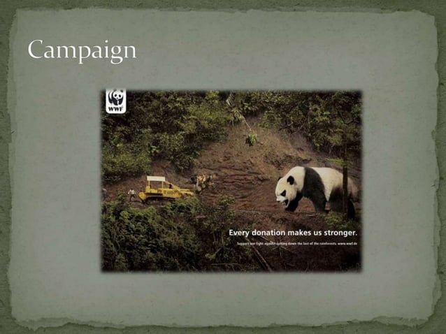 Work: WWF | PPT
