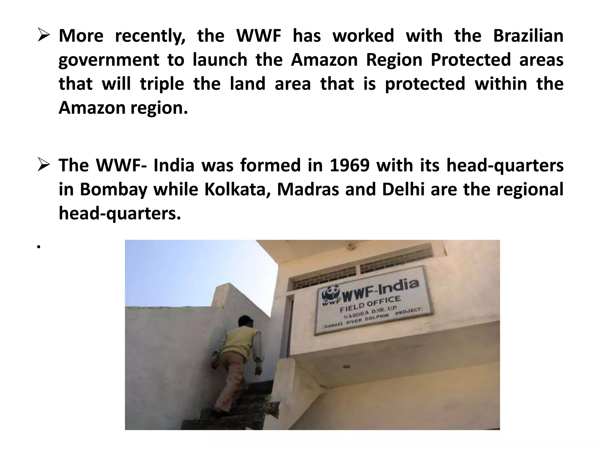 Wwf | PPTX