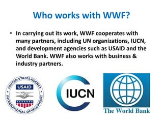 Wwf | PPTX