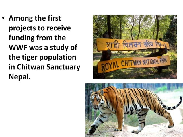 Wwf | PPTX | Non-Profit Organizations | Industries