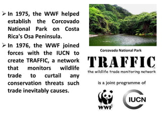 Wwf | PPTX