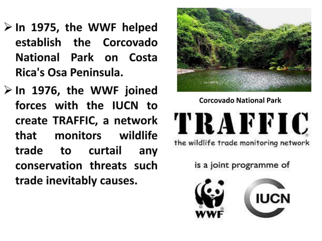 Wwf | PPTX | Non-Profit Organizations | Industries