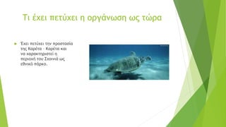 Wwf | PPTX