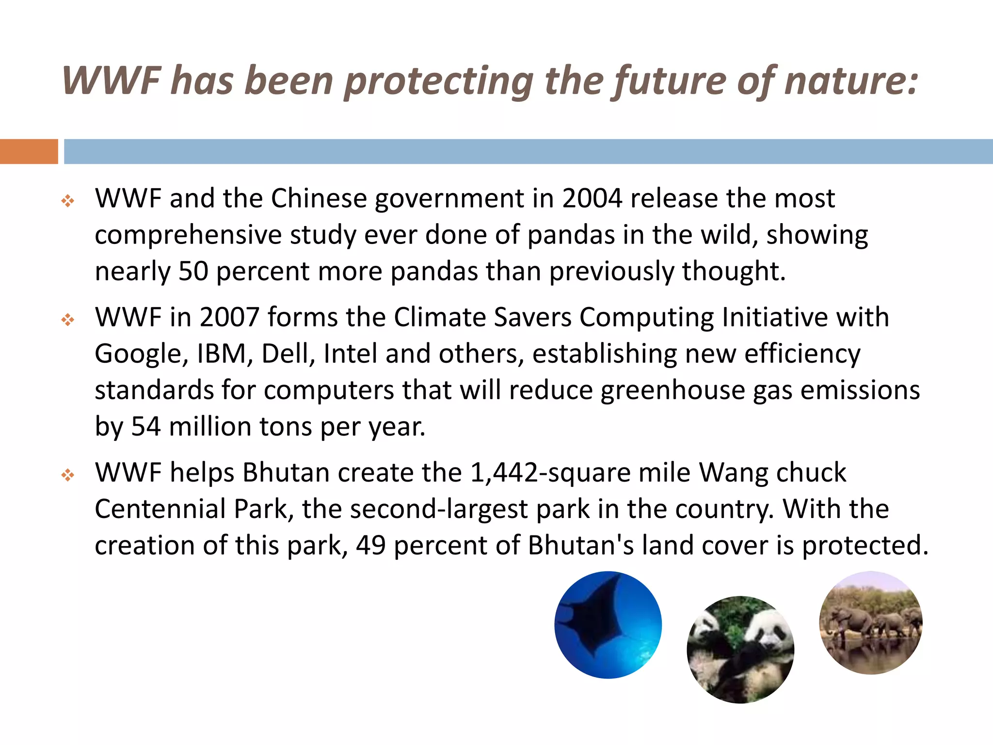 Wwf | PPTX