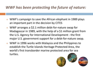 Wwf | PPTX