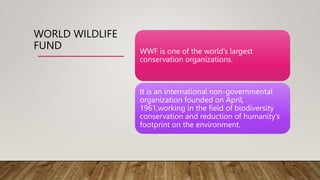 WWF.pptx