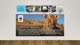 WWF.pptx