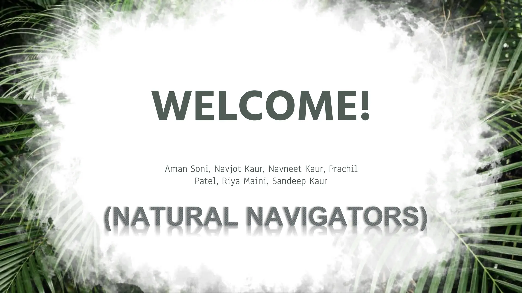 World Wild Fund. What WWF Do, location, Gaps | PPT