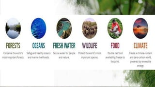 World Wild Fund. What WWF Do, location, Gaps | PPT