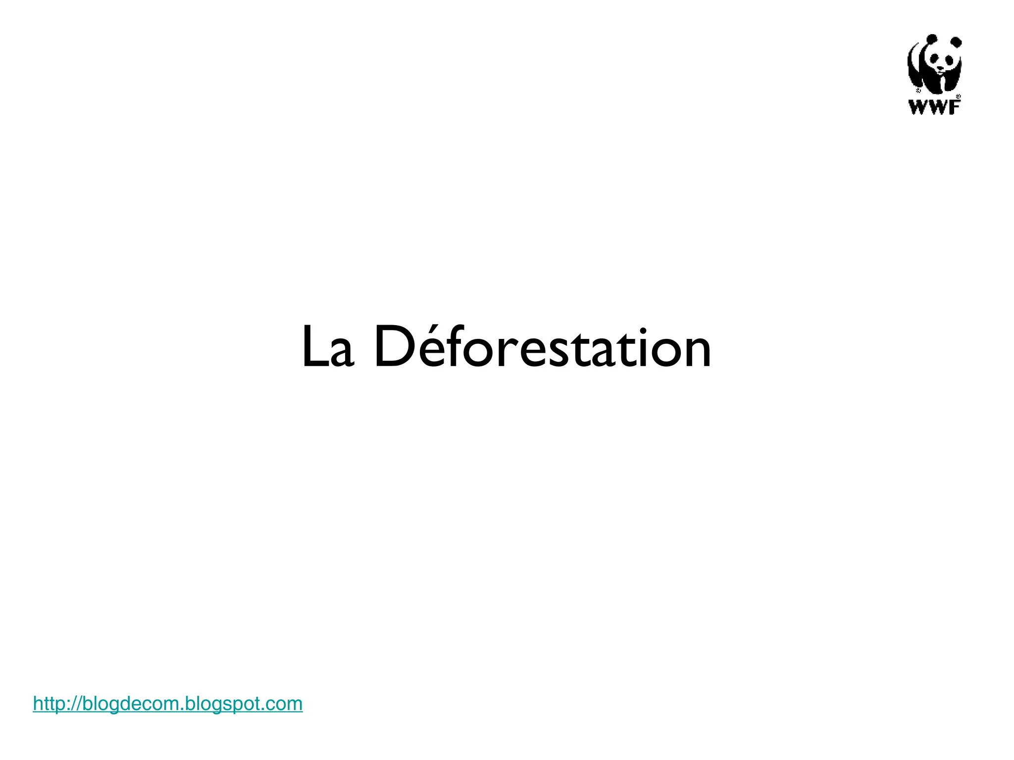 WWF Advertising | PPT