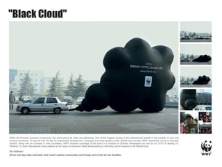 WWF Advertising | PPT