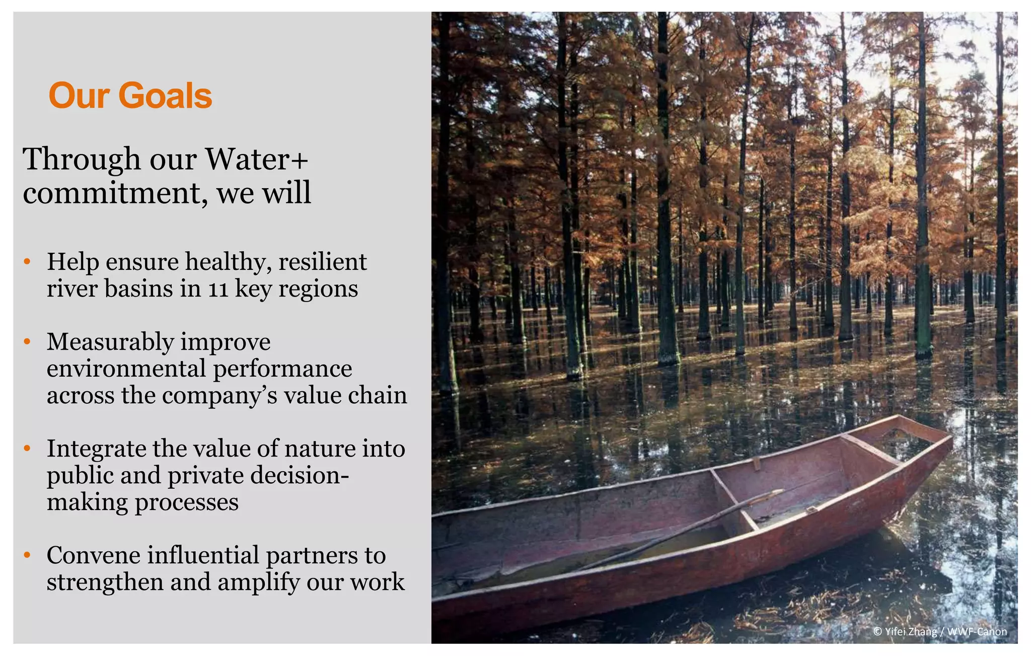 WWF and The Coca-Cola Company | PPTX